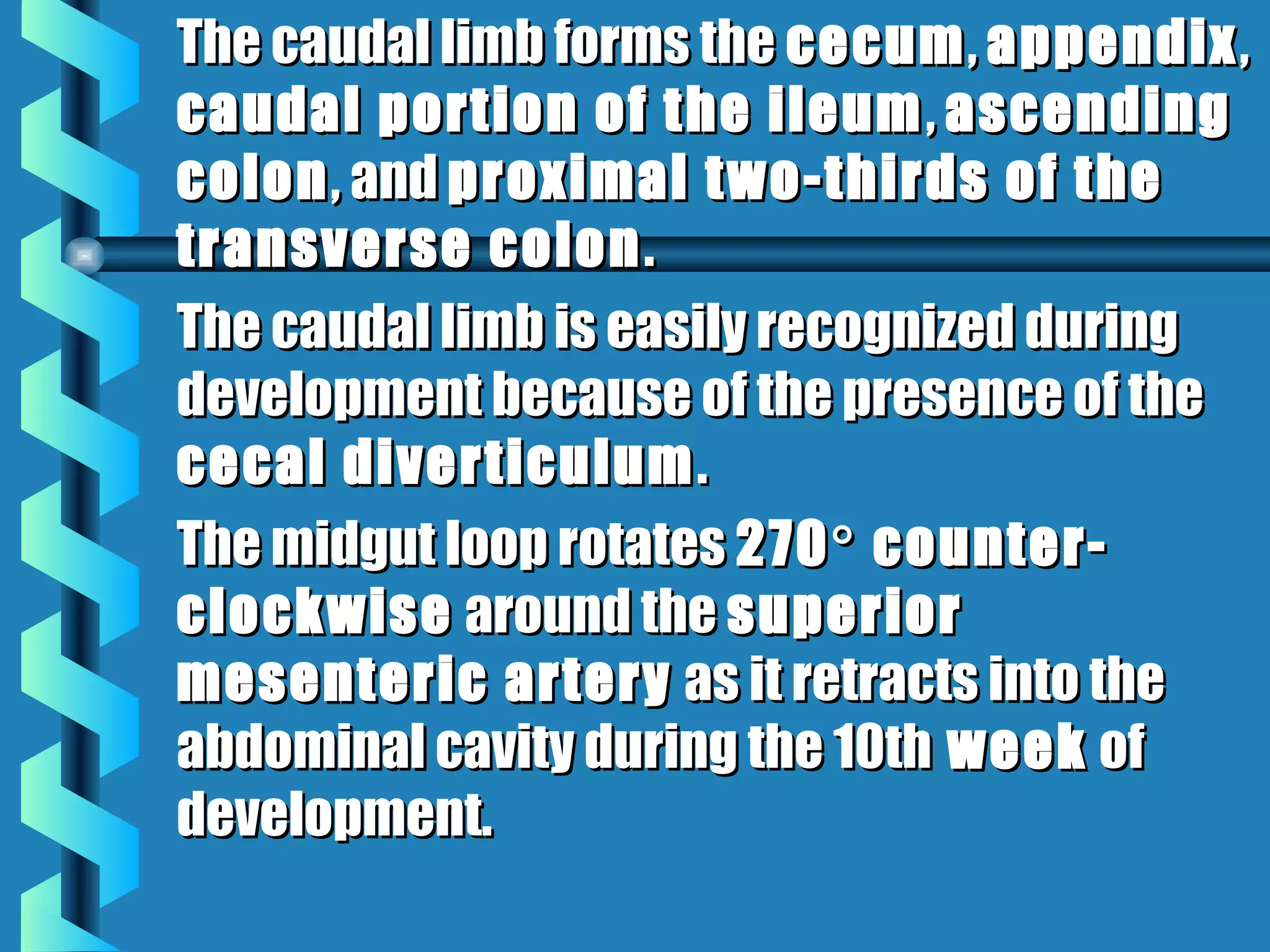 Embryology of Digestive system | PPT