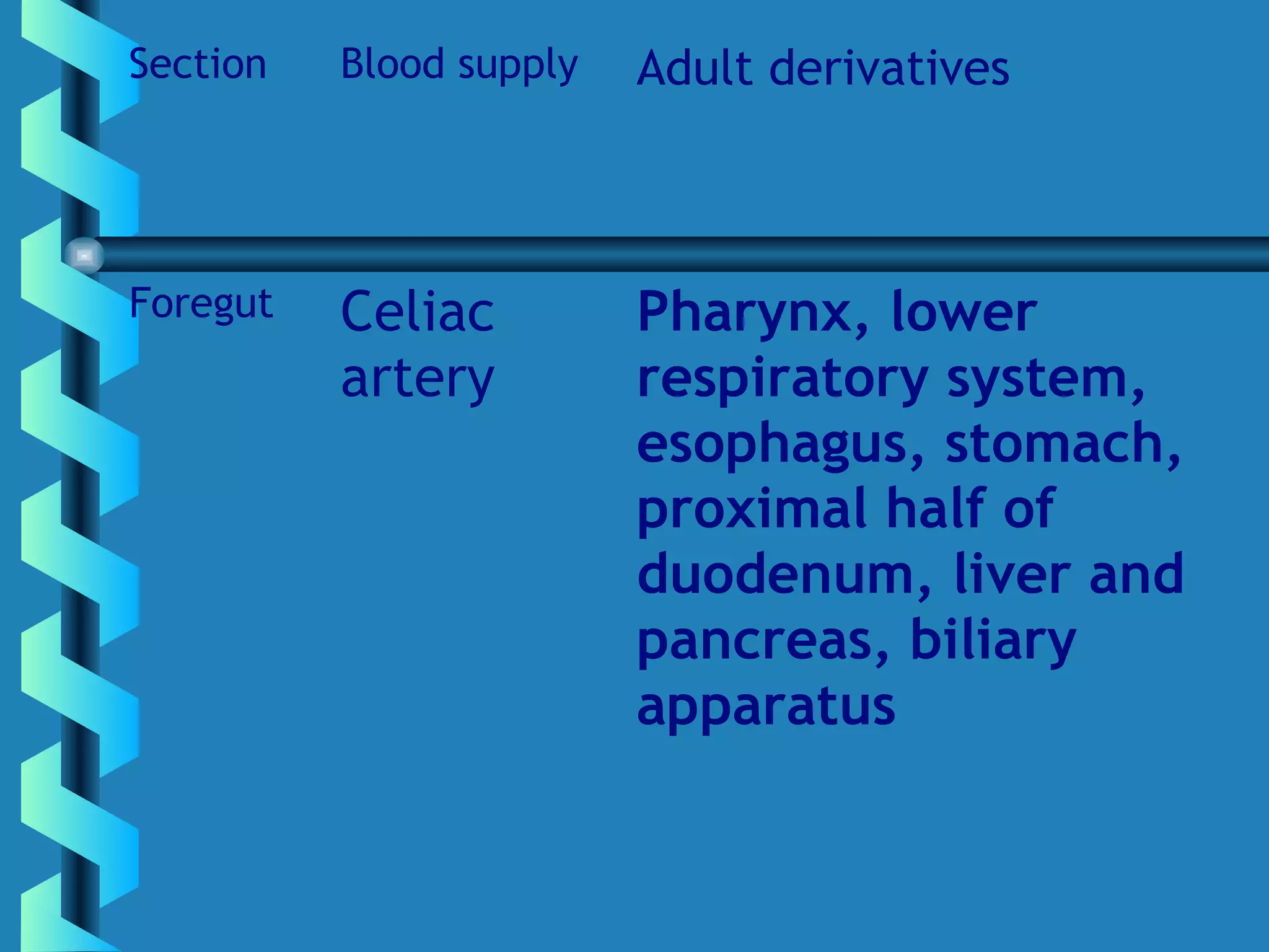Embryology of Digestive system | PPT