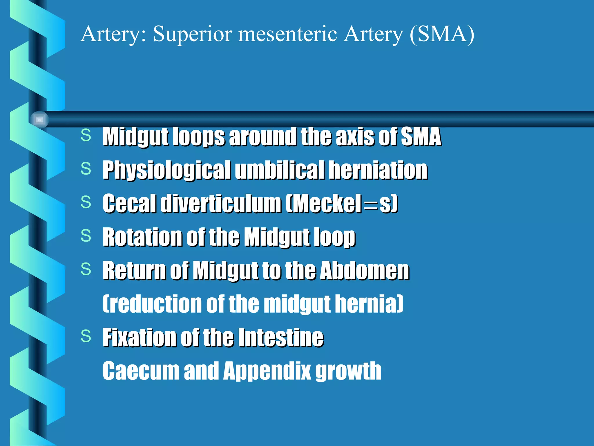 Embryology of Digestive system | PPT