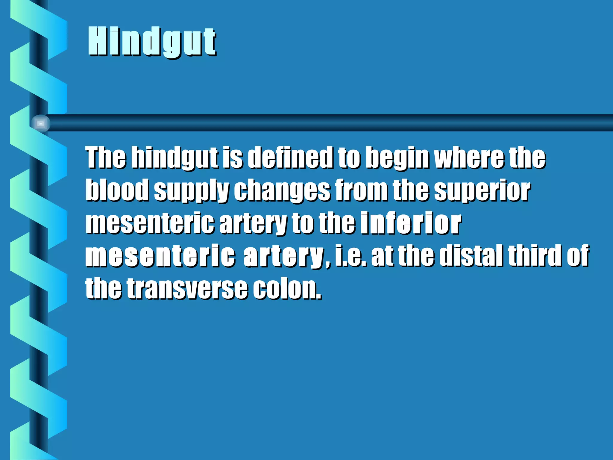 Embryology of Digestive system | PPT