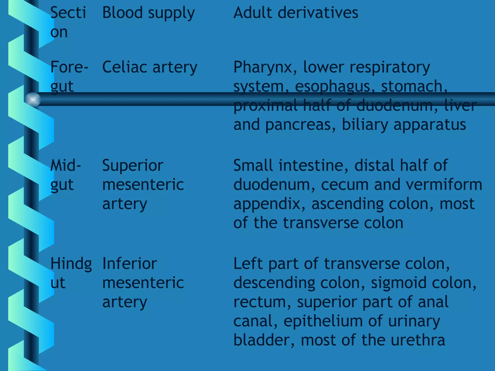 Embryology of Digestive system | PPT