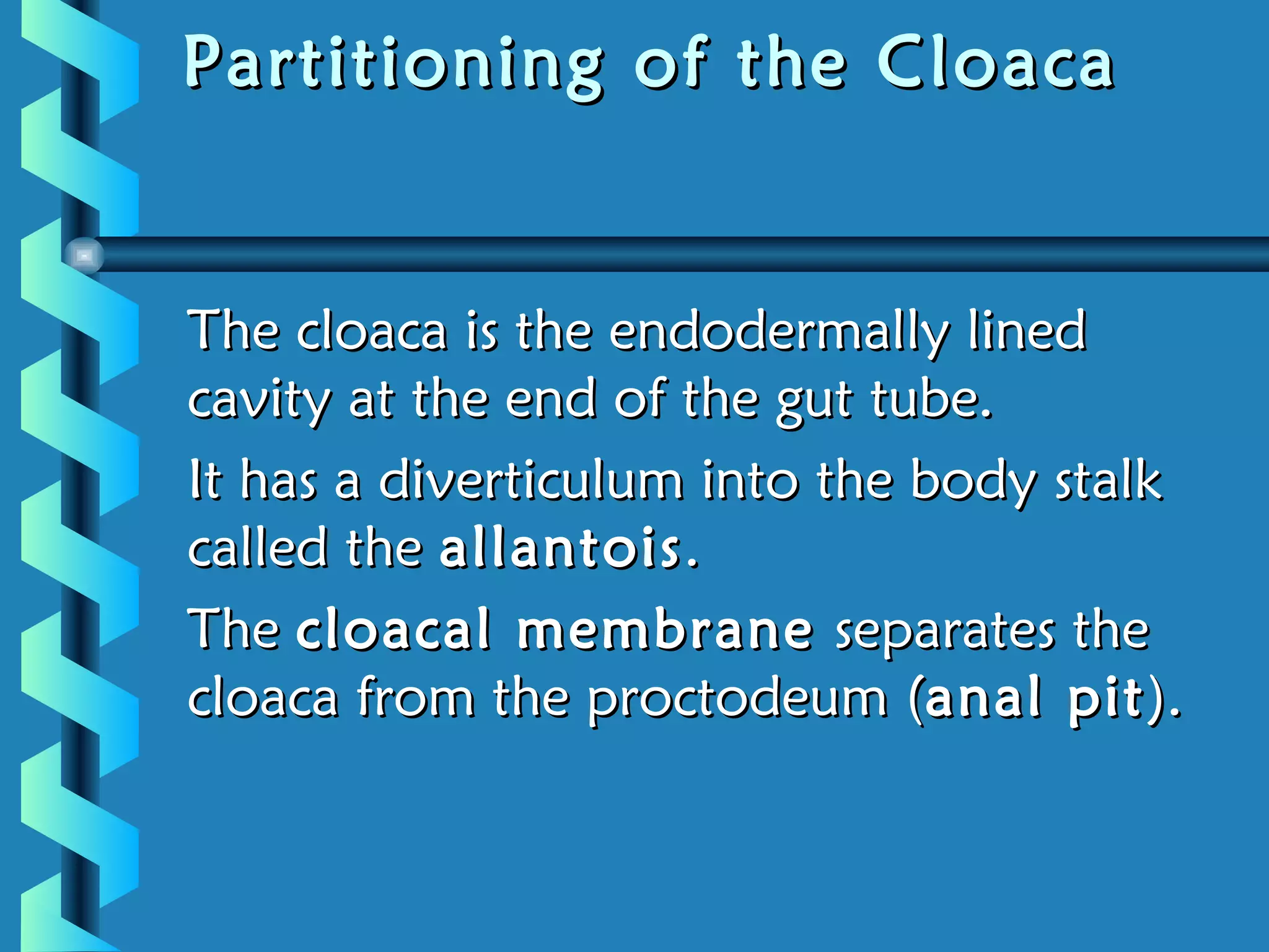 Embryology of Digestive system | PPT