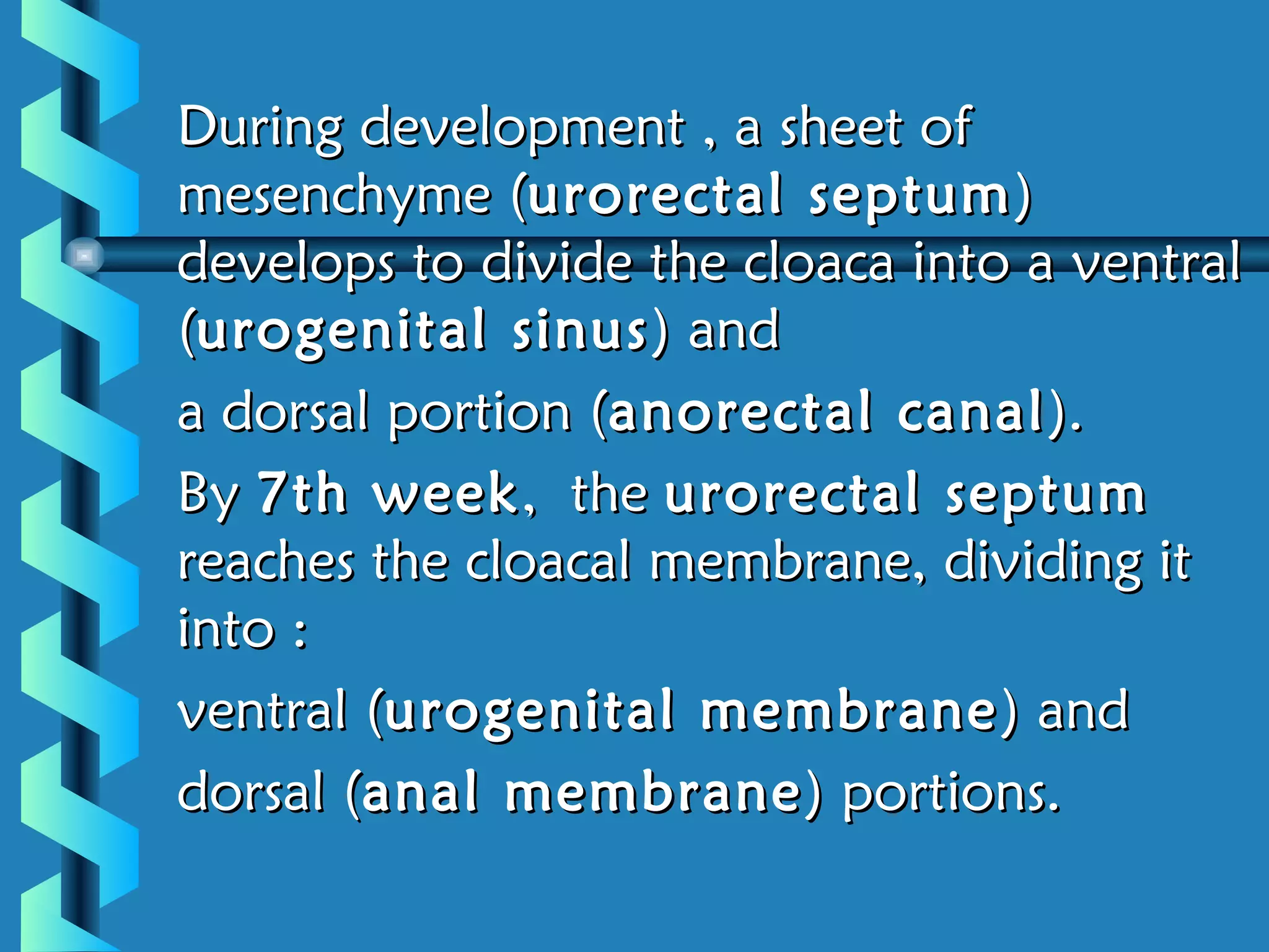 Embryology of Digestive system | PPT