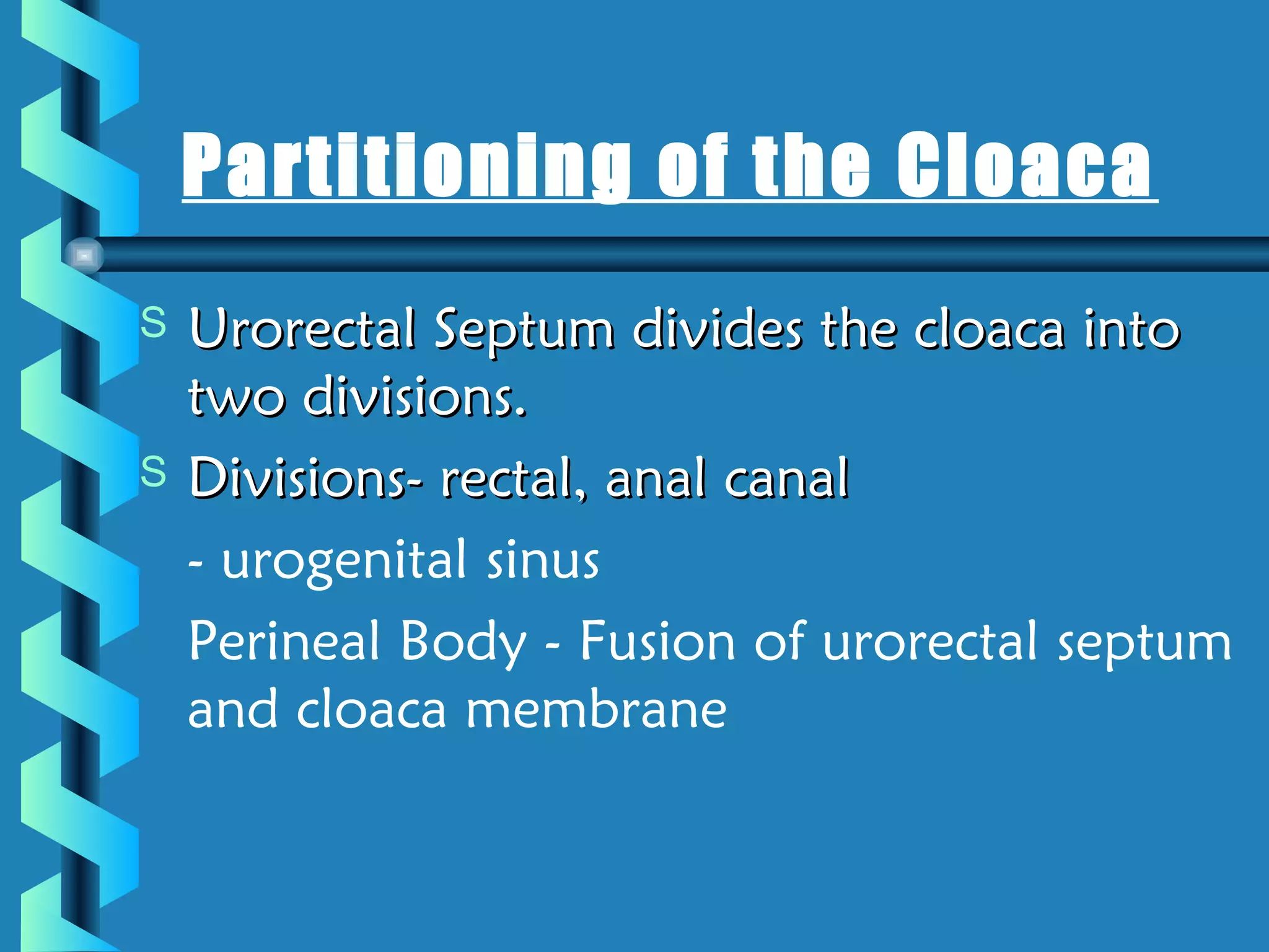 Embryology of Digestive system | PPT