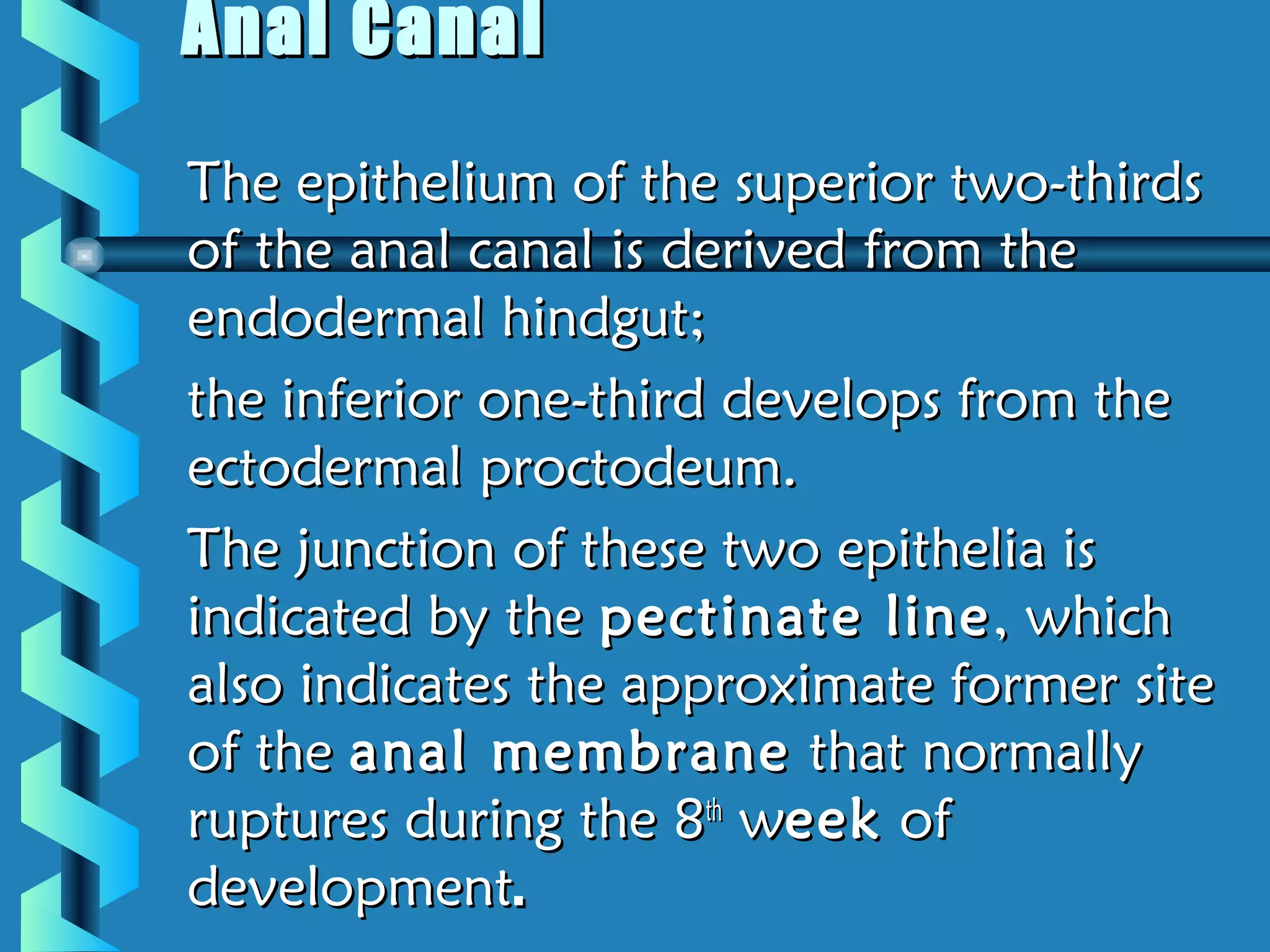 Embryology of Digestive system | PPT