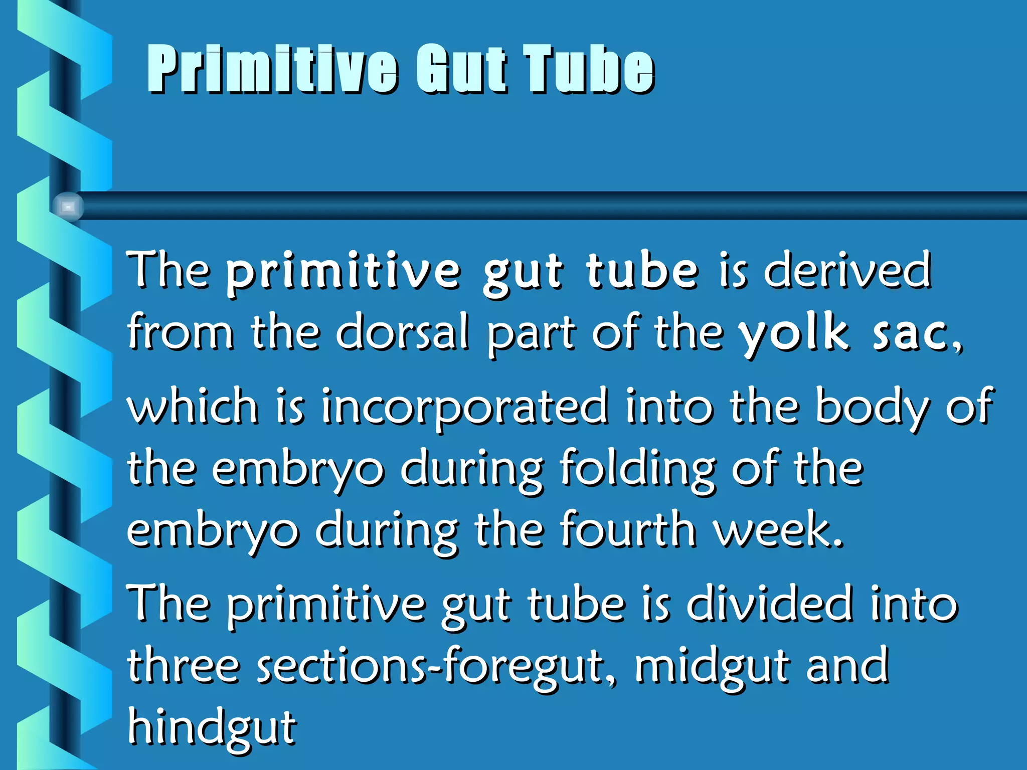 Embryology of Digestive system | PPT