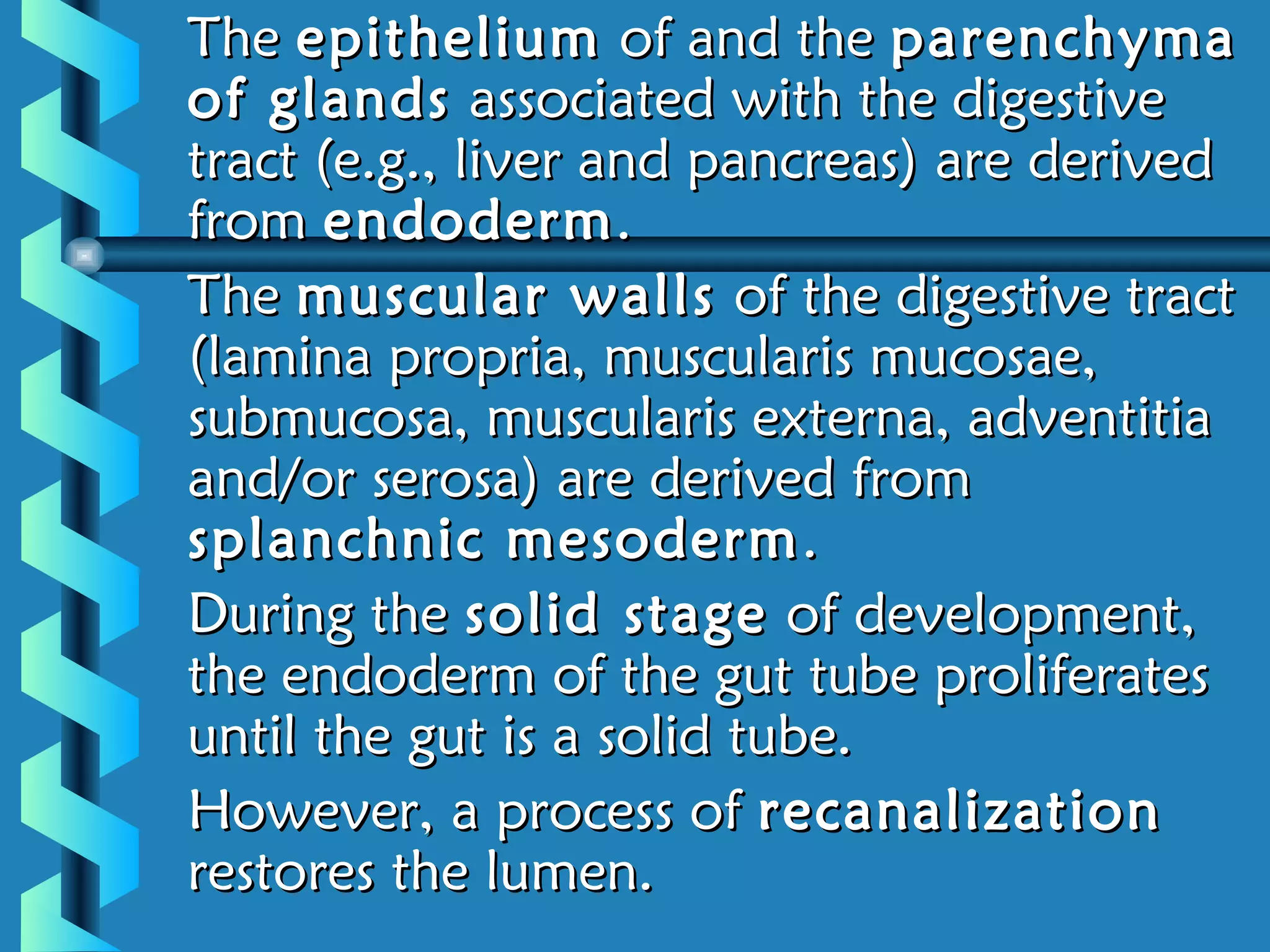 Embryology of Digestive system | PPT