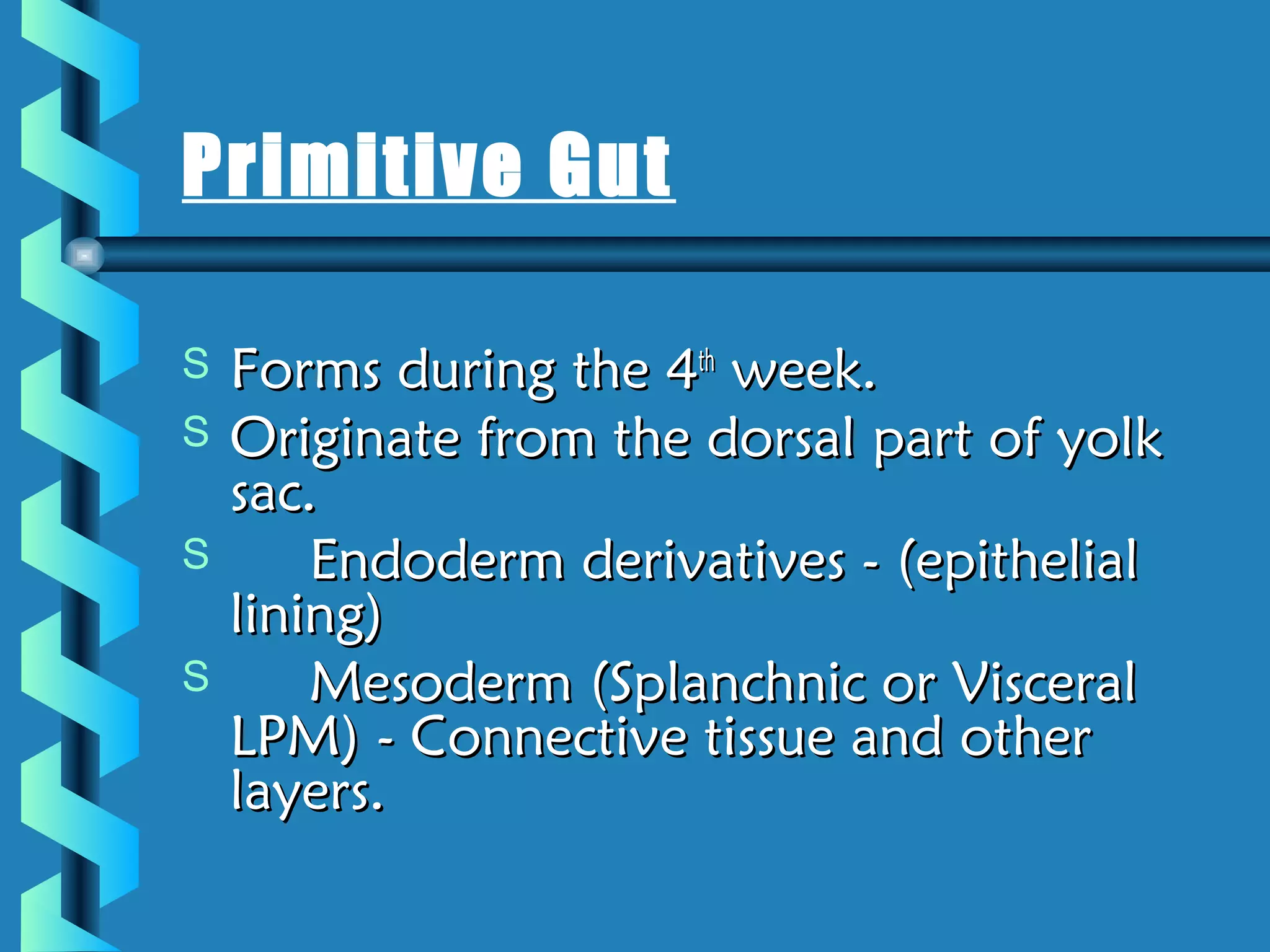 Embryology of Digestive system | PPT