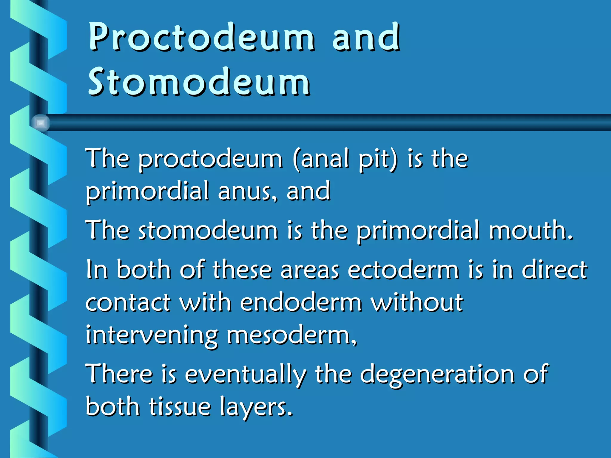 Embryology of Digestive system | PPT