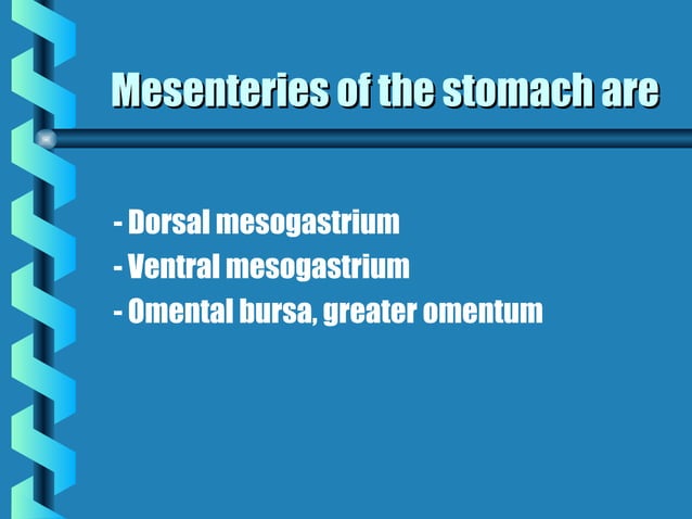Embryology of Digestive system | PPT | Digestive Disorders | Diseases ...