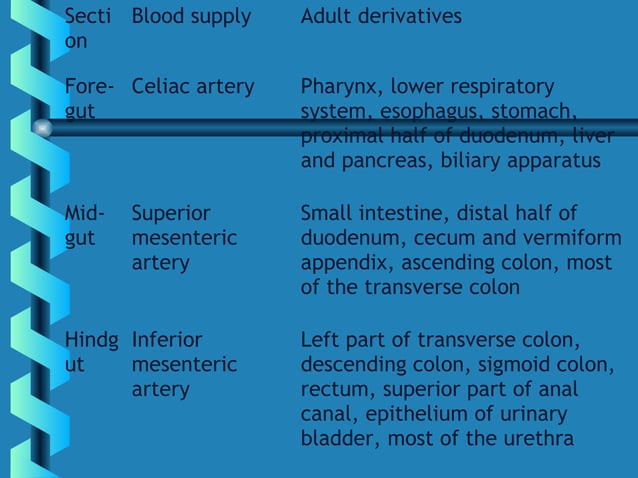 Embryology of Digestive system | PPT | Digestive Disorders | Diseases and Conditions
