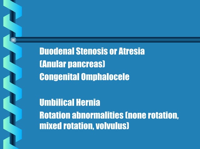 Embryology of Digestive system | PPT | Digestive Disorders | Diseases and Conditions