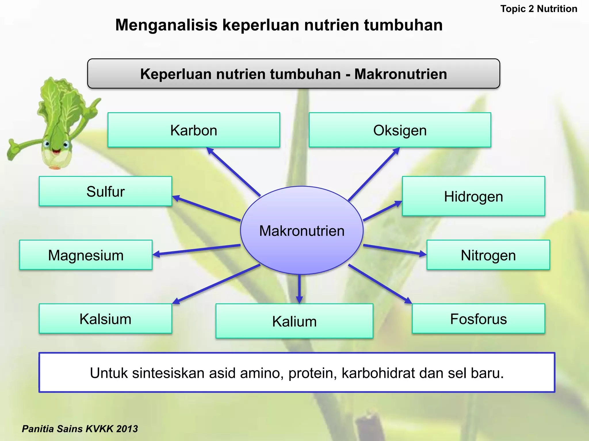 2 keperluan nutrisi tumbuhan | PPTX