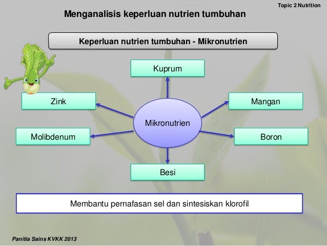 2 keperluan nutrisi tumbuhan
