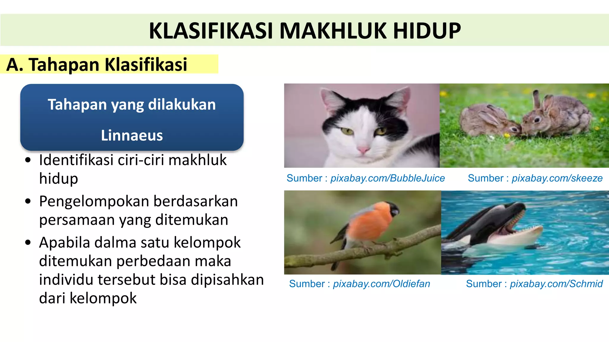 2 Klasifikasi Makhluk Hidup.pptx