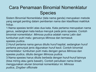 Klasifikasi makhluk hidup dalam kehidupan | PPT