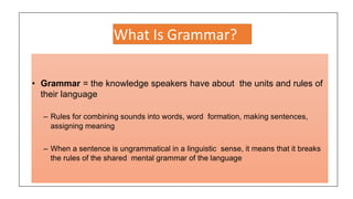 2, knowledge of language.pptx