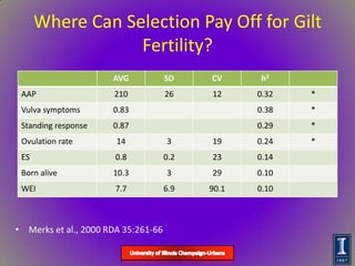 Dr. Rob Knox - Gilt Management/Puberty Induction and Sow Longevity ...