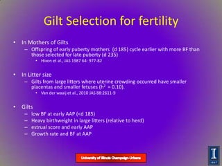 Dr. Rob Knox - Gilt Management/Puberty Induction and Sow Longevity ...