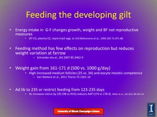 Dr. Rob Knox - Gilt Management/Puberty Induction and Sow Longevity ...