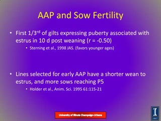 Dr. Rob Knox - Gilt Management/Puberty Induction and Sow Longevity ...