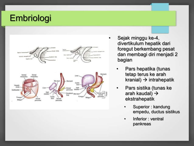 2_KULIAH_Kelainan_Kongenital_Saluran_Ce.ppt