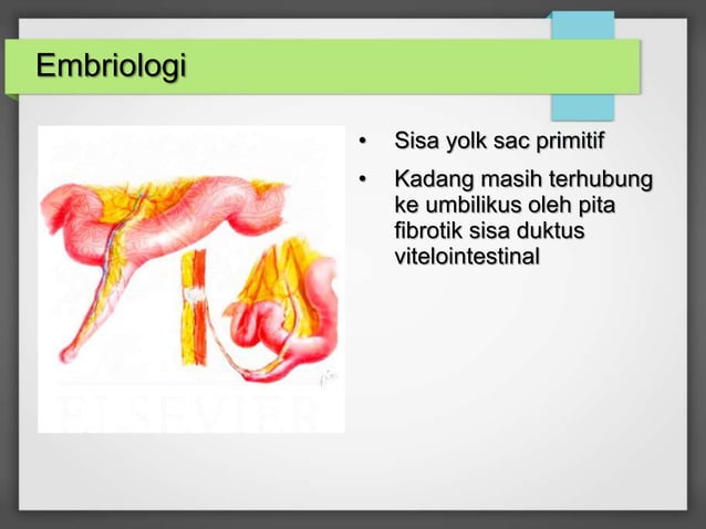 2_KULIAH_Kelainan_Kongenital_Saluran_Ce.ppt