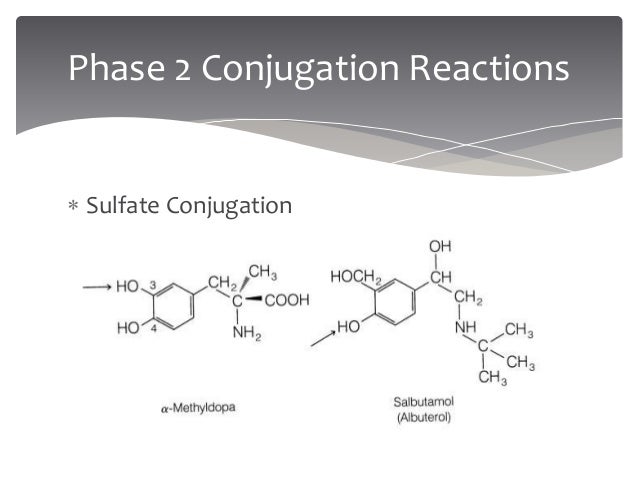 2 lab metabolic_changes_in_organic_medicinals[2]