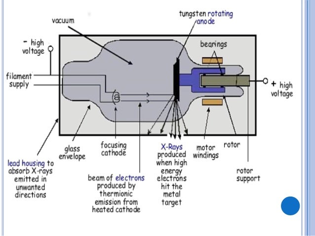 2lab xray parts