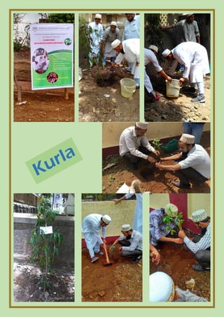 2 Lakh Tree Plantation Report.pdf