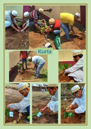2 Lakh Tree Plantation Report.pdf