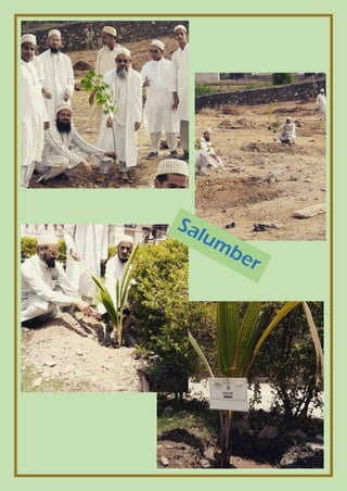 2 Lakh Tree Plantation Report.pdf