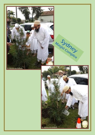 2 Lakh Tree Plantation Report.pdf