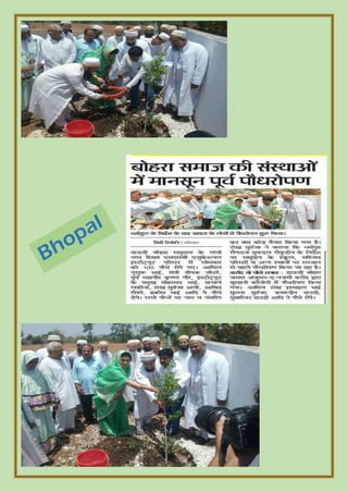 2 Lakh Tree Plantation Report.pdf