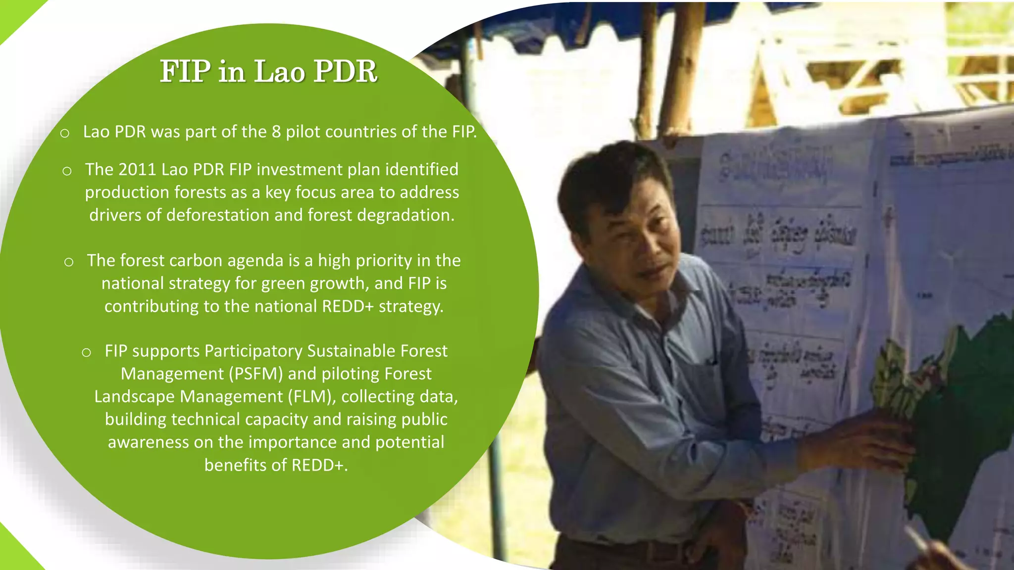 Forest Investment Program (FIP) - Sustainable Forestry for Rural ...