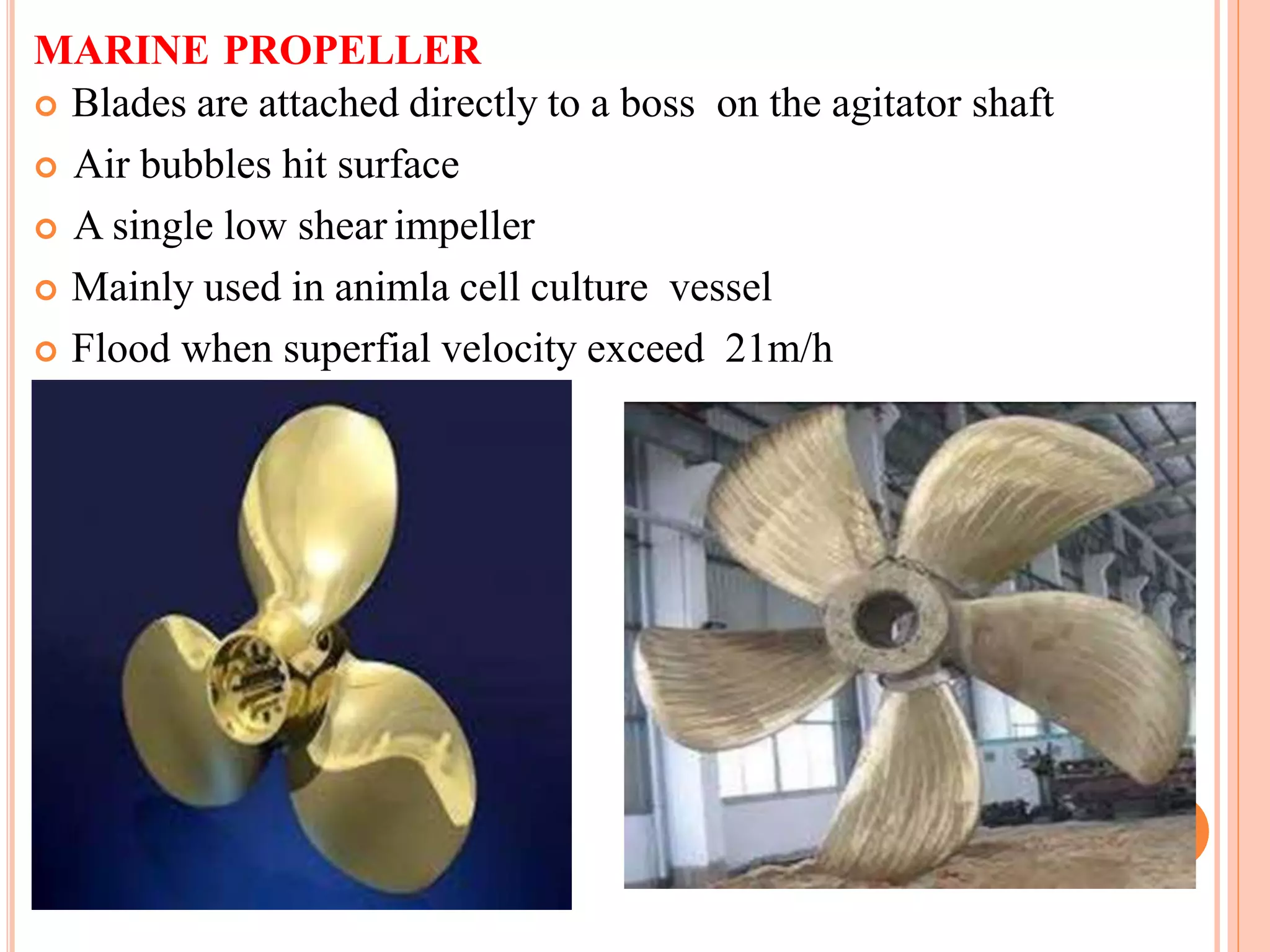 large scale production fermenter | PPTX