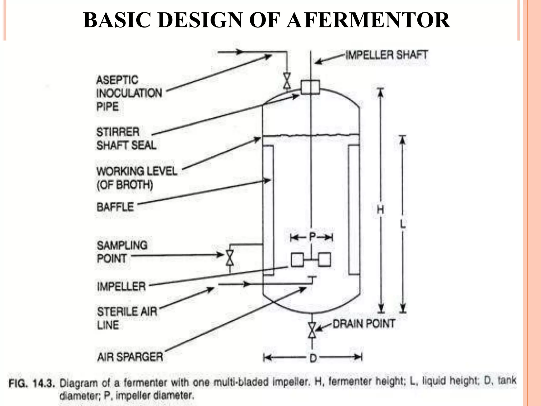 large scale production fermenter | PPTX