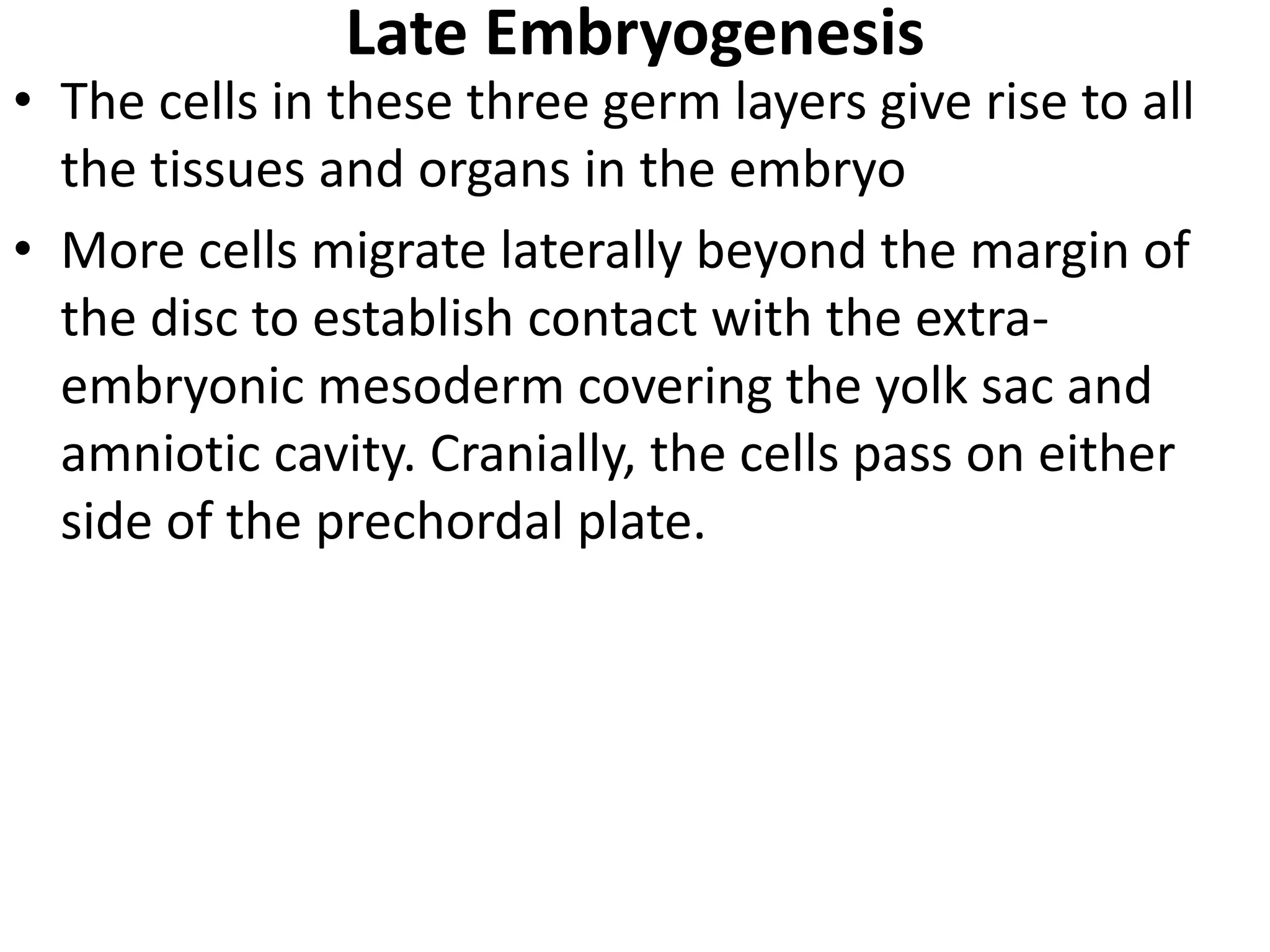2 Late Embryogenesis .pptx