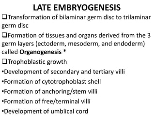 2 Late Embryogenesis .pptx
