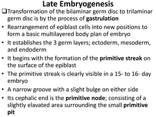 2 Late Embryogenesis .pptx