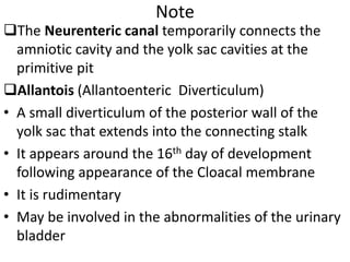 2 Late Embryogenesis .pptx
