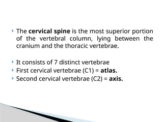 2 lecture note 2 Osteology of the Neck.pptx