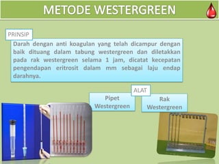 LED (Laju Endap Darah) | PPTX