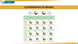2° Lei de Mendel.pdf