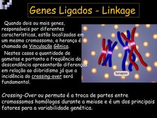 2ª Lei de Mendel e heranças ligadas ao sexo.pptx