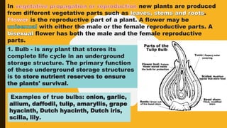 2 les 1.1 sci 5 | PPT
