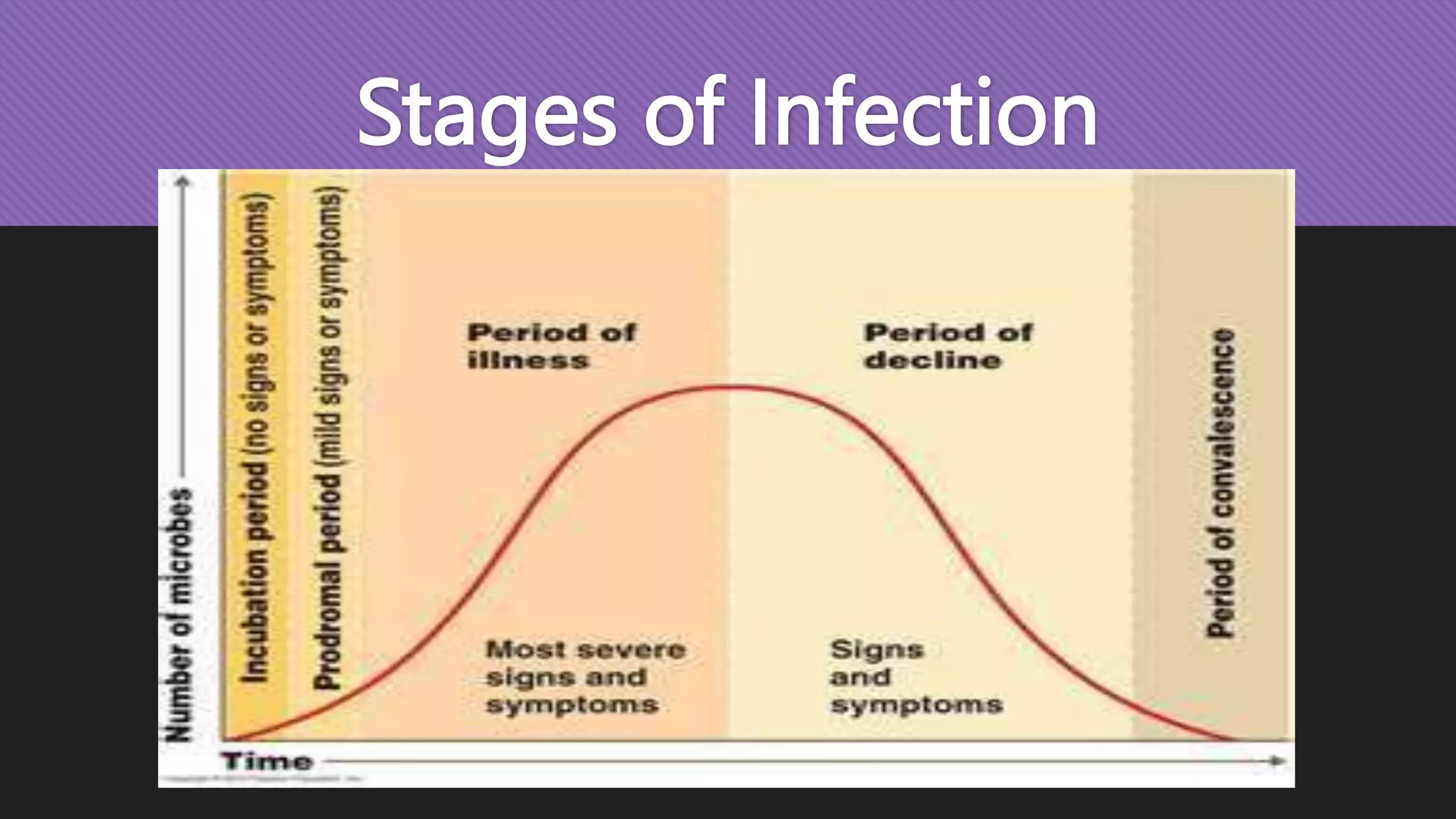 (2) Lesson 1 Stages of Infection 2.pptx