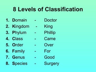 levels of classification 2010 | PPT