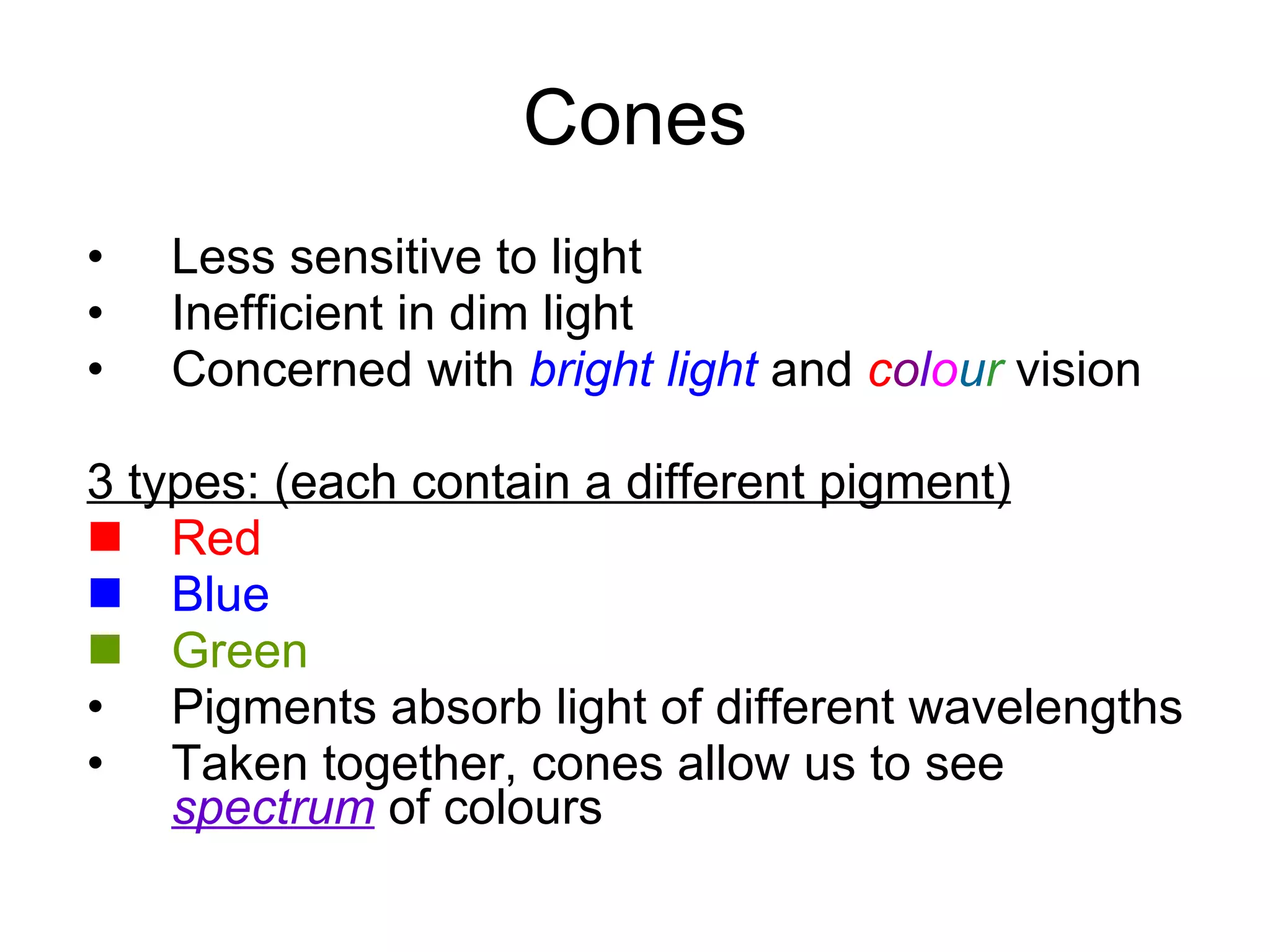 Chapter 14 The Human Eye Lesson 2 - Light Detection | PPT