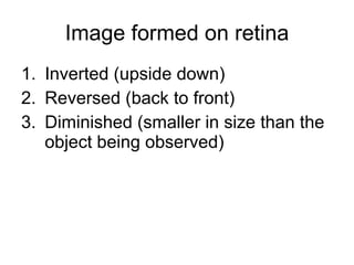 Chapter 14 The Human Eye Lesson 2 - Light Detection | PPT